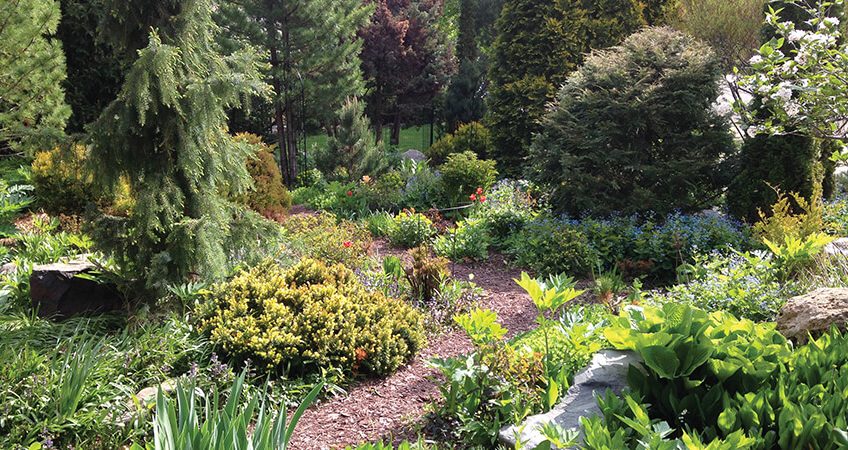 About Us | Masterpiece Landscaping