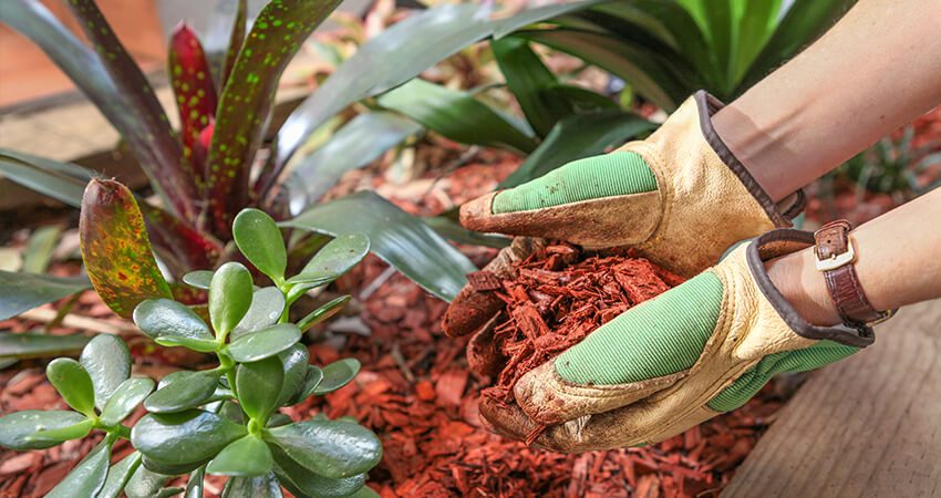Professional Landscaping in the Twin Cities | Masterpiece Landscaping